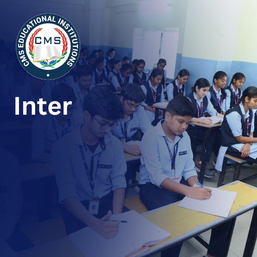 CA Level – CMS For CA